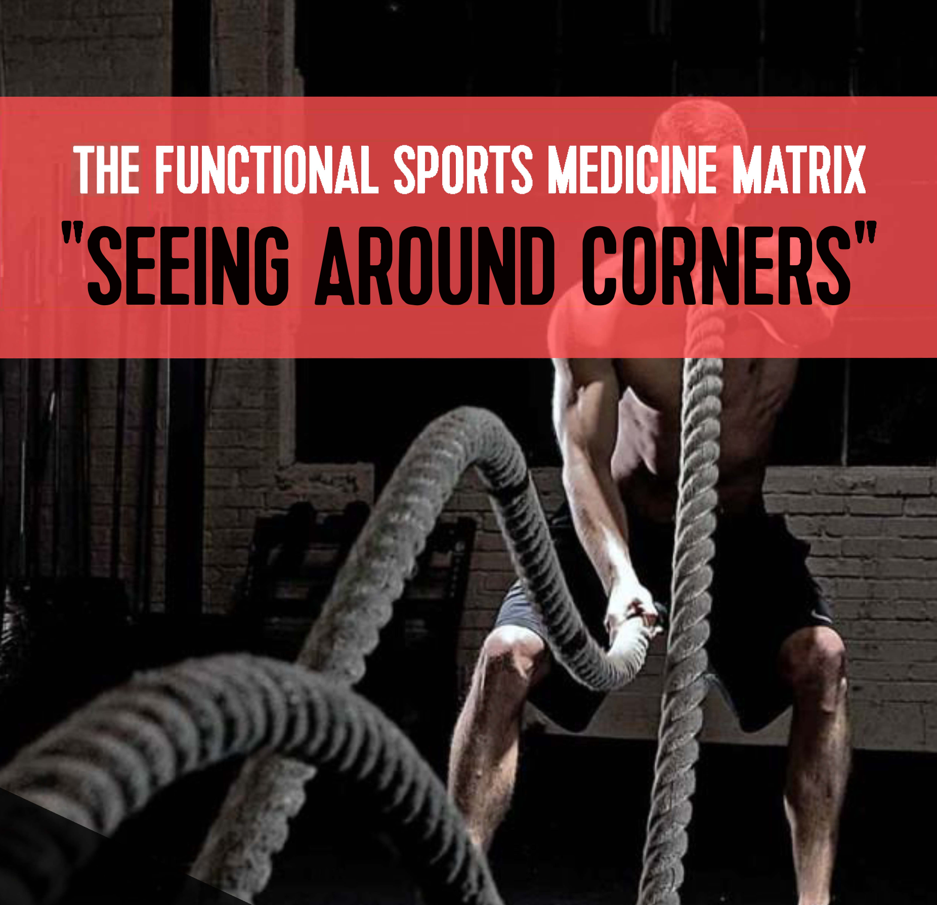 Best Blood Tests for Athletes: Optimize Your Performance with Key ...